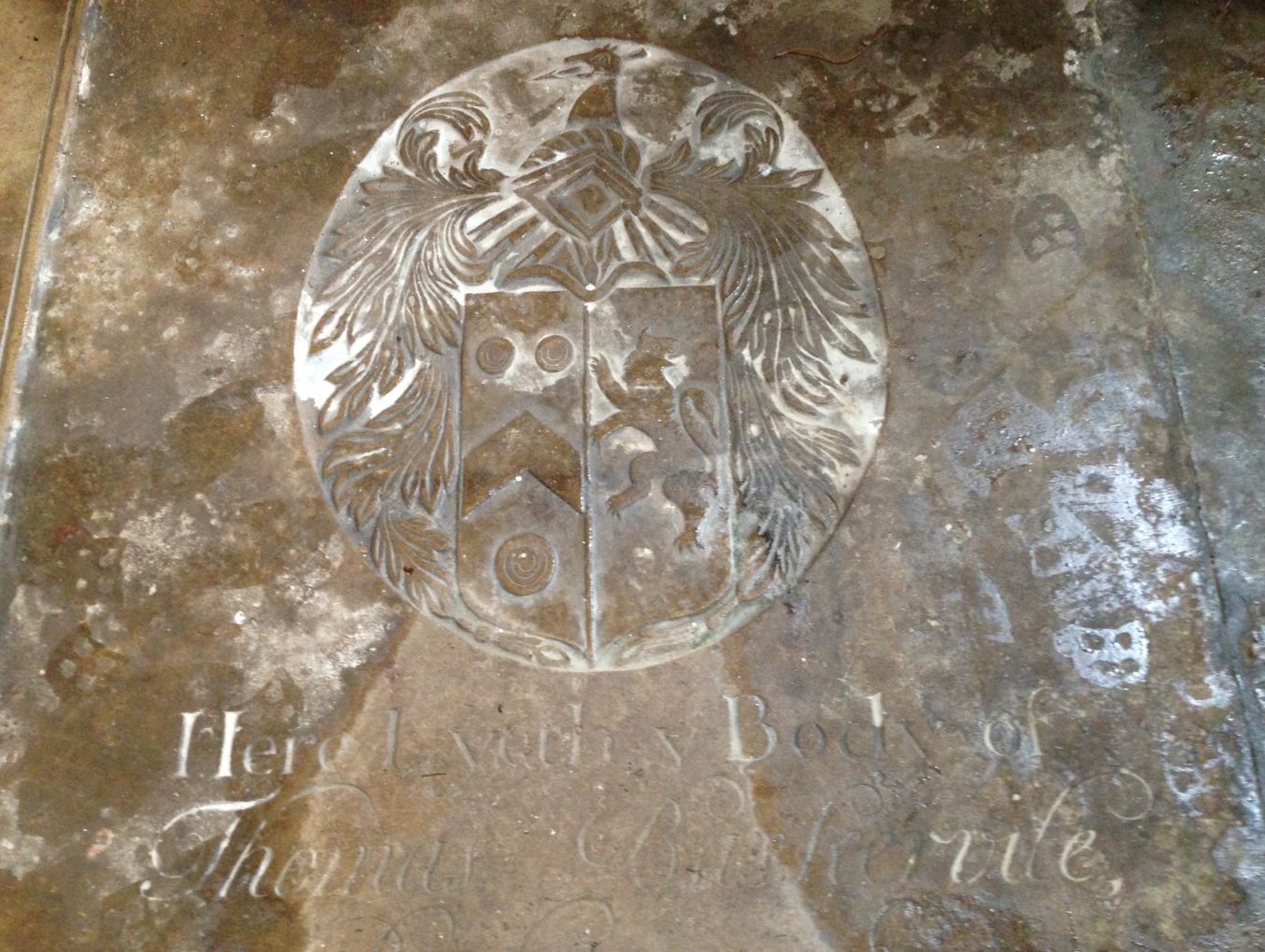 The Baskervilles – Moonrakers